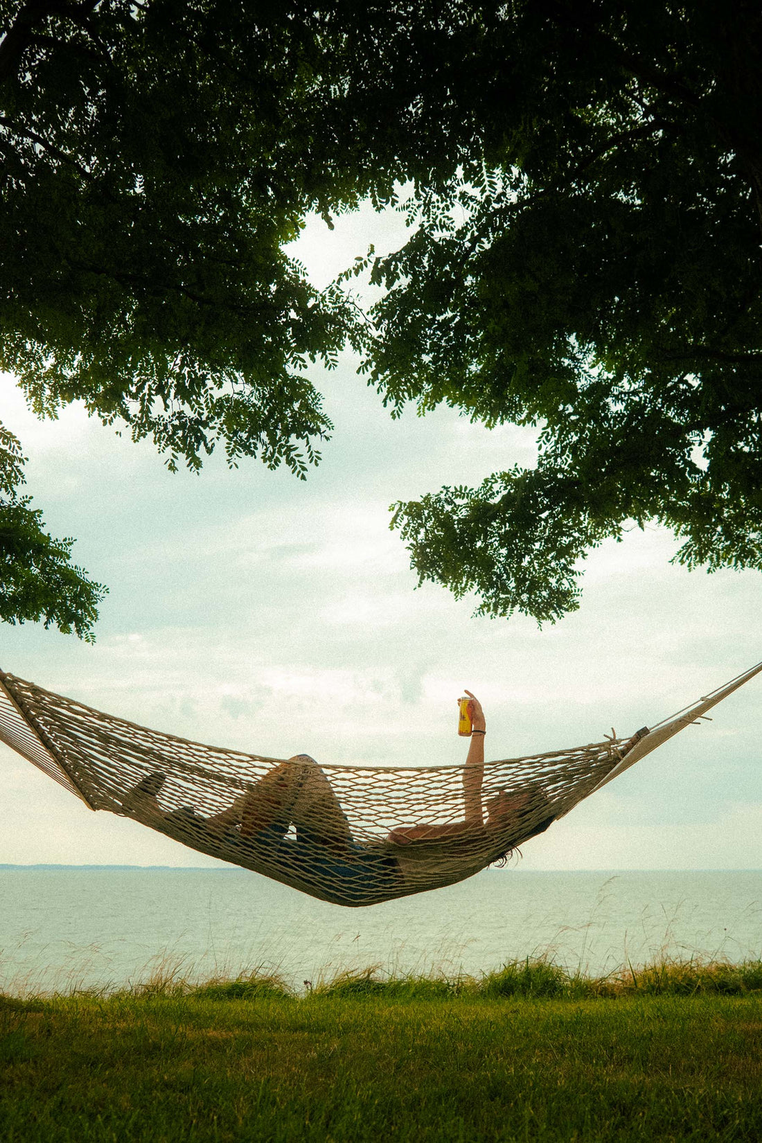 Shop THC & Cannabis Infused Seltzers | Drink Rebel Rabbit